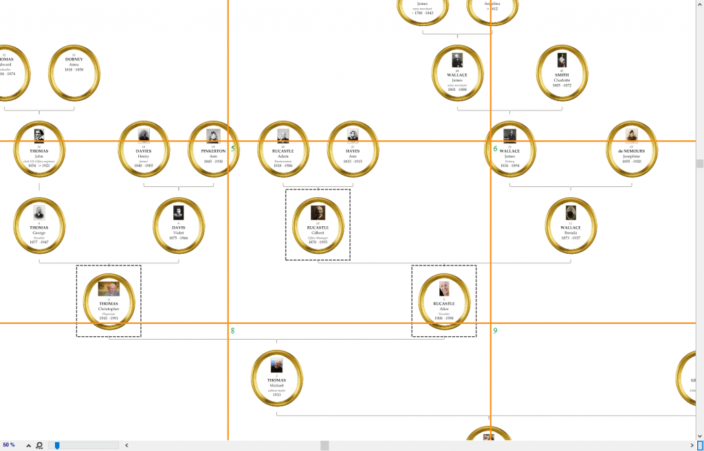 (Windows) Apply a selection to a tree chart - Heredis Help Knowledgebase